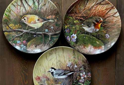 Настенные тарелки "Наш маленький птичий мир "