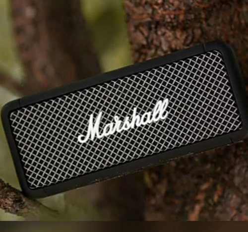 Портативная колонка Marshall emberton 1