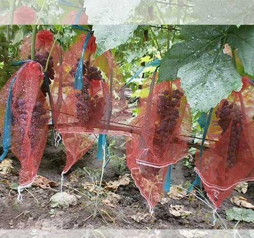 Сетка-мешок для винограда от ос и птиц