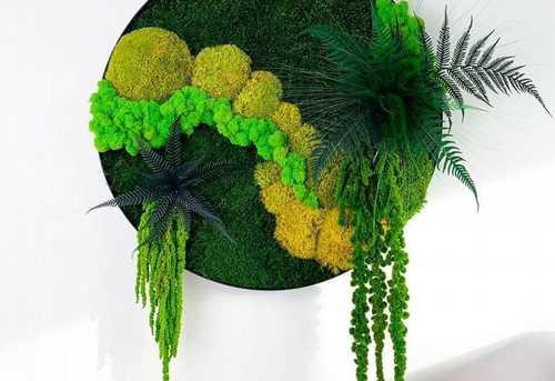 Круглые фитокартины 'Зеленое сияние природы'