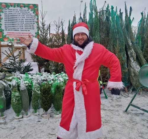 Купи живую елку / сосну премиум качества