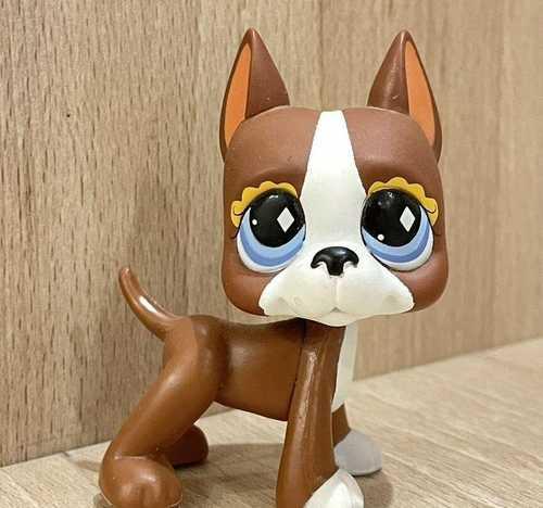 Littlest pet shop дог