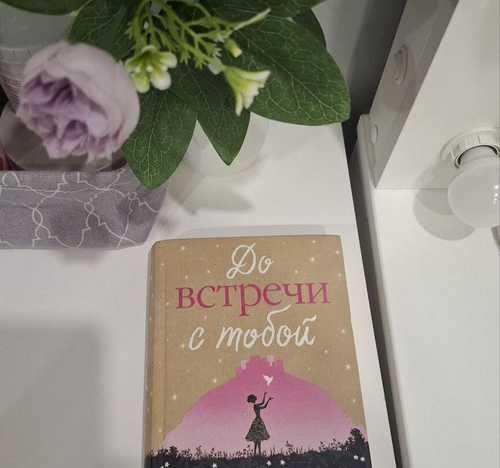 Книга до встречи с тобой