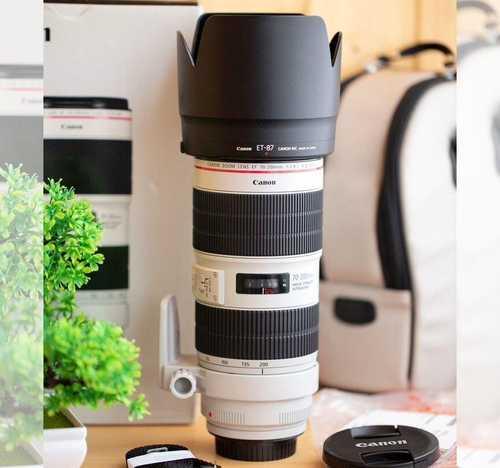 Canon EF 70-200mm f/2.8L IS III USM