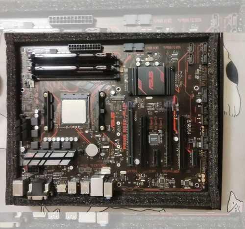 Asus Prime B350-plus   Ryzen 5 3700x   DDR 4 16Gb