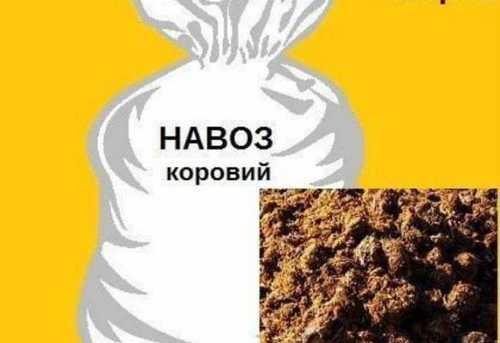 Навоз говяжий