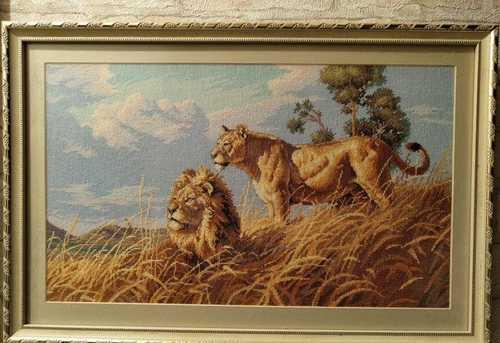 Картина, вышитая крестом Африканские львы
