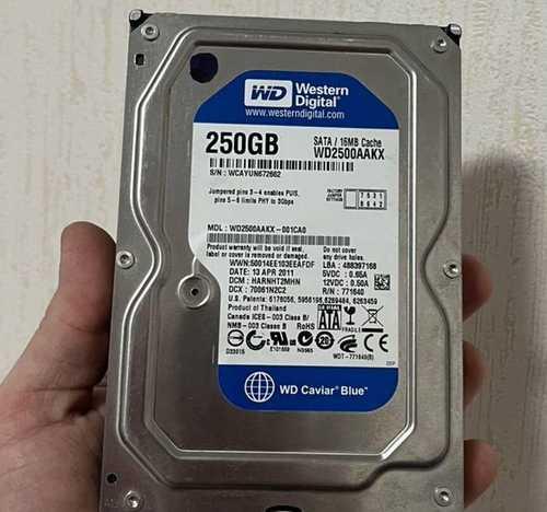 Жесткий диск western digital blue 250gb