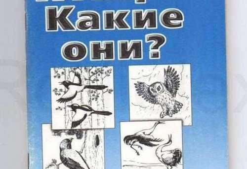 Книги для детей. Раскраски. Птицы и дом. животные