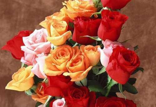 Букет из Роз Хризантем Ромашек и других цветов