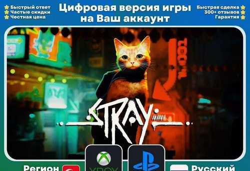 Игра Stray PS4 / PS5 / Xbox на русском языке