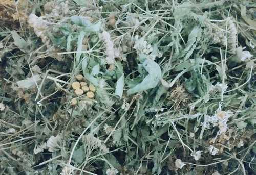 Целебные травы для банной запарки, фитобочки