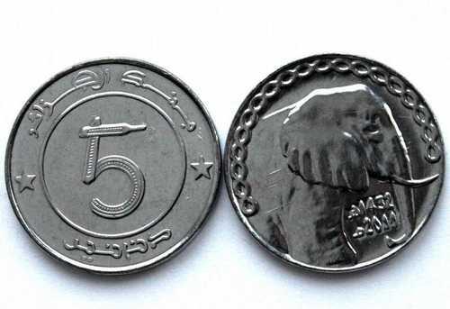 Монета Алжир 5 динаров, слон, фауна, 2020 г, UNC