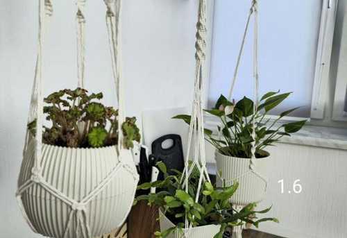 Макраме Подвесное кашпо для комнатных растений