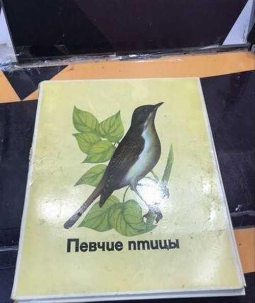 Коллекция спичек птицы СССР