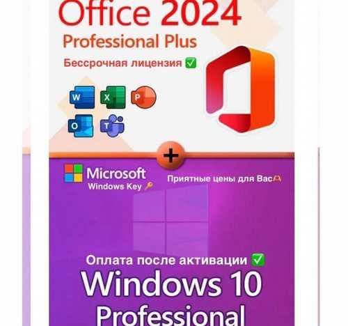 Windows/Office(10/11Pro/2024 office)