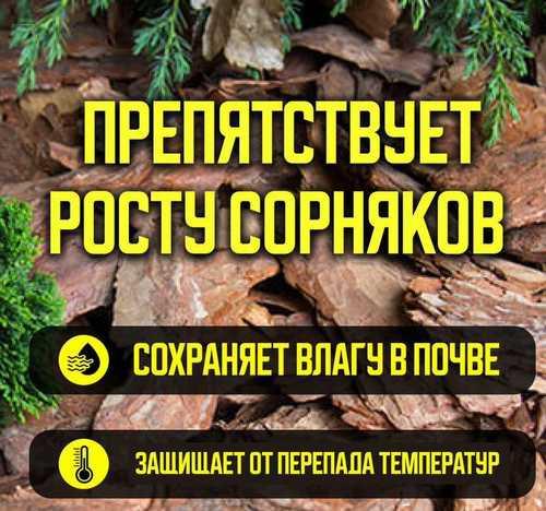 Кора лиственницы и сосны оптом и в розницу