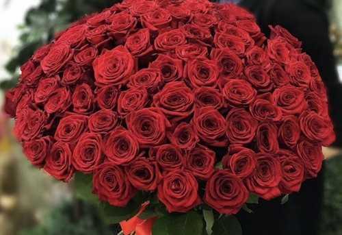 101 роза 50 см красные букет из красных