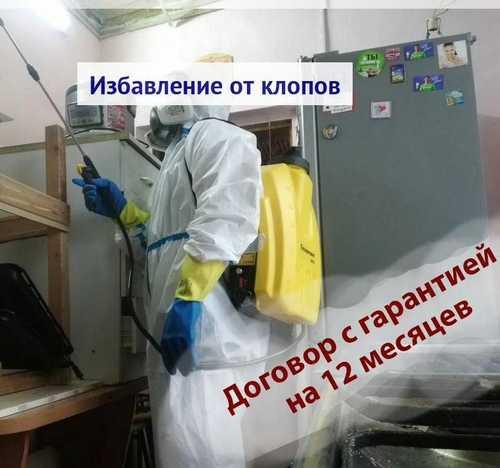 Уничтожение клопов тараканов грызунов