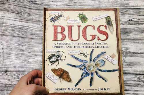 Bugs: A stunning pop-up Look by Jim Kay