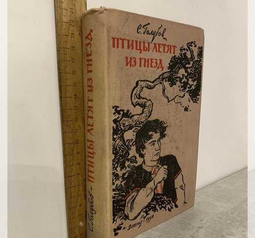 Голубов С. Птицы летят из гнезд