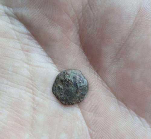 Античная монета Боспорского царства, Пантикапей