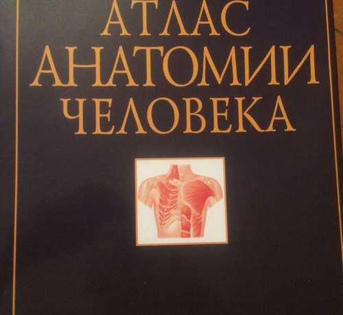 Иллюстрированный атлас анатомии человека