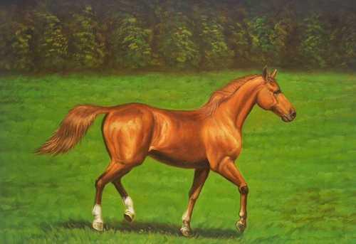 Картина маслом на холсте "Лошадь на прогулке"