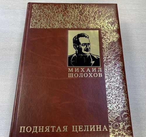 Книга Поднятая целина