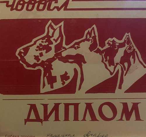 Дипломы с выставок собак СССР