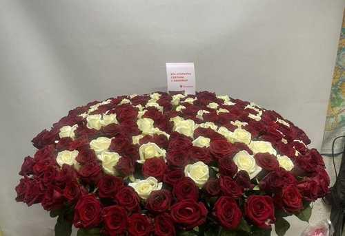 Цветы розы и букеты 101 с доставкой