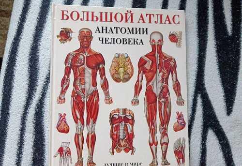 Атлас по анатомии