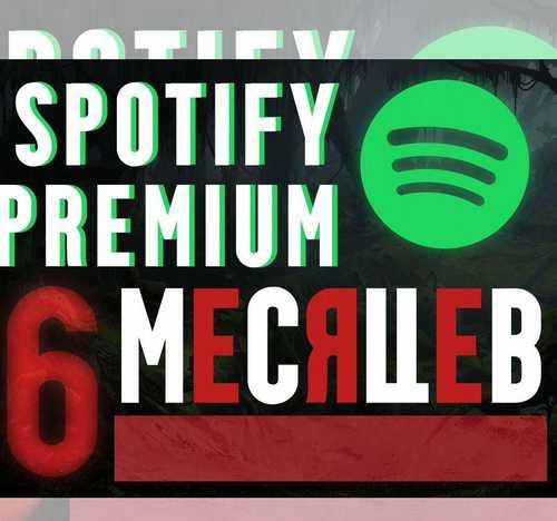Spotify premium (6 месяцев)
