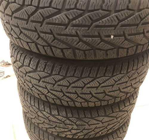 Tigar Winter 195/65 R15 95T