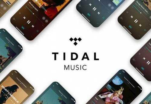 Tidal Hi-Fi Plus 1-12 Месяцев Воронеж