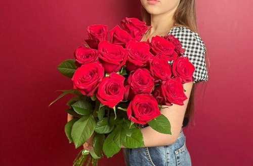 Красные Розы оптом 60см Розы голландия
