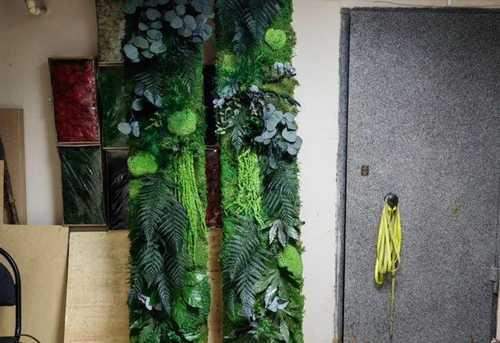 Панно картины из мха растений декор стен арт02, от