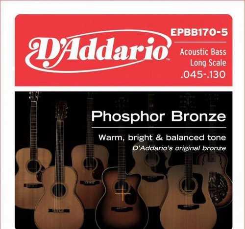 DAddario epbb170-5
