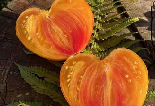 Семена вкусного томата сердце абрикосовой зебры