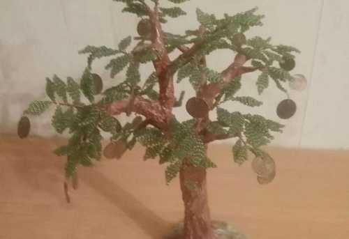 Денежное дерево сувенир