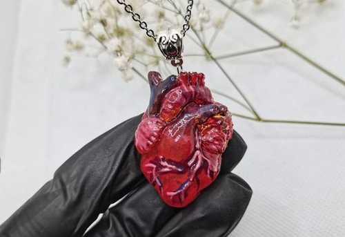 Кулон анатомическое сердце