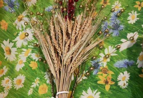 Колосья пшеницы и ржи (сухоцвет)
