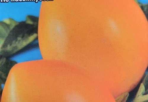 Рассада оранжевых низкорослых томатов