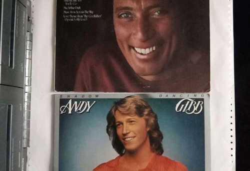 Винил Andy Gibb