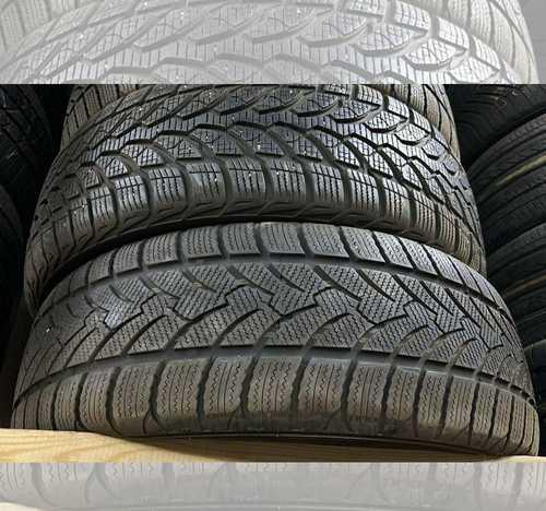 Platin RP 60 Winter 225/55 R17 100V