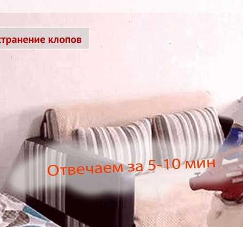 Средство от клопов