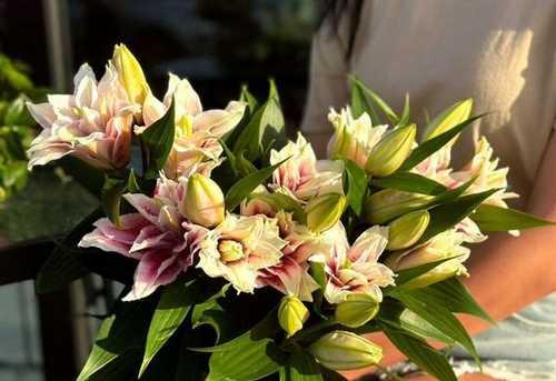 Пионовидная Лилия букет цветов