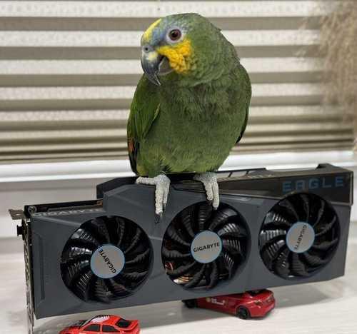 RTX 3080 Ti Gigabyte Eagle OC идеал гарантия днс