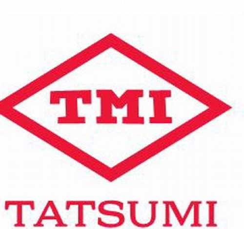 Tatsumi TFS1083 Цепь грм с натяжителями, комплект