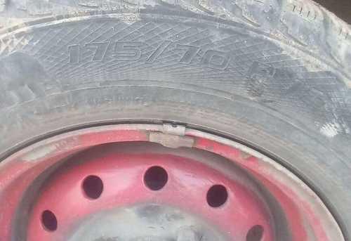 Gislaved Nord Frost 5 5/70 R13 20
